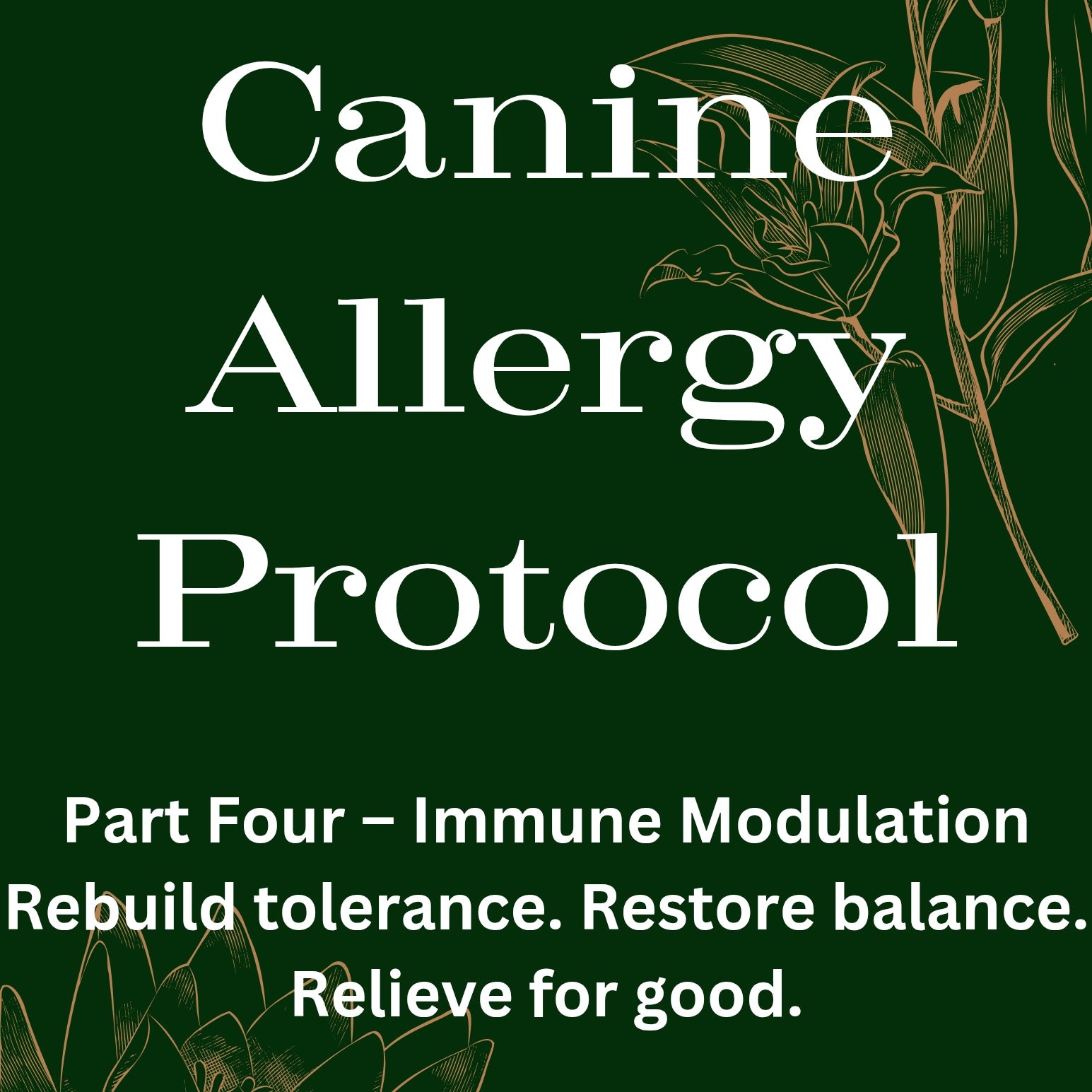 Part 4 Canine Allergy Protocol Guide | A PUP'S LIFE
