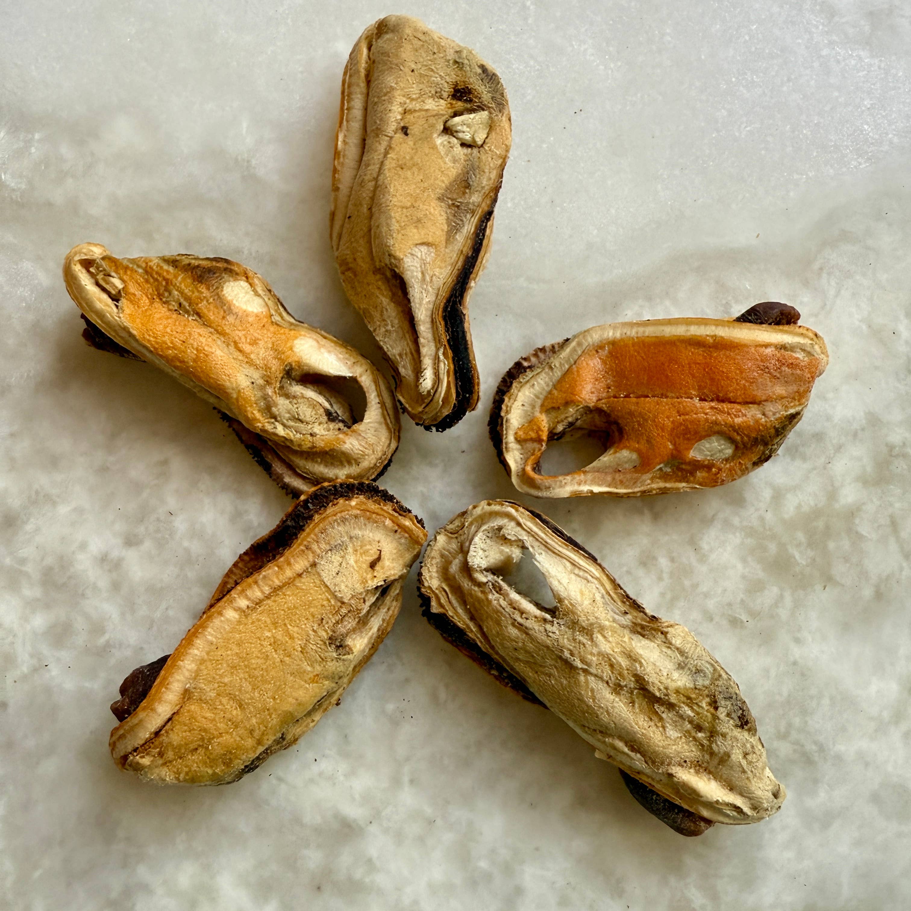 New Zealand Green-Lipped Mussels - Freeze-Dried | A PUP'S LIFE