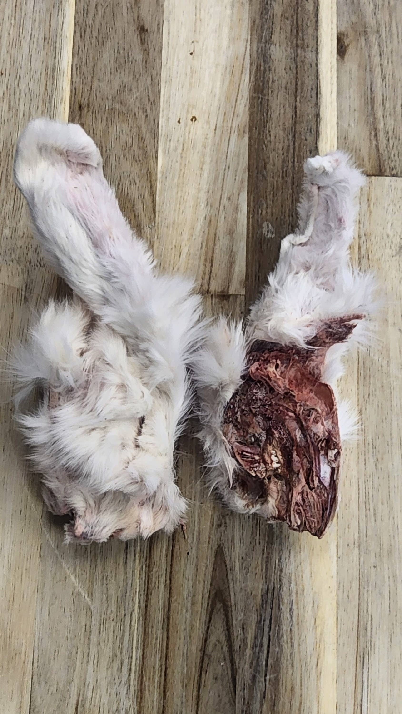 Freeze Dried Rabbit Head Halves - W/Ears | A PUP'S LIFE